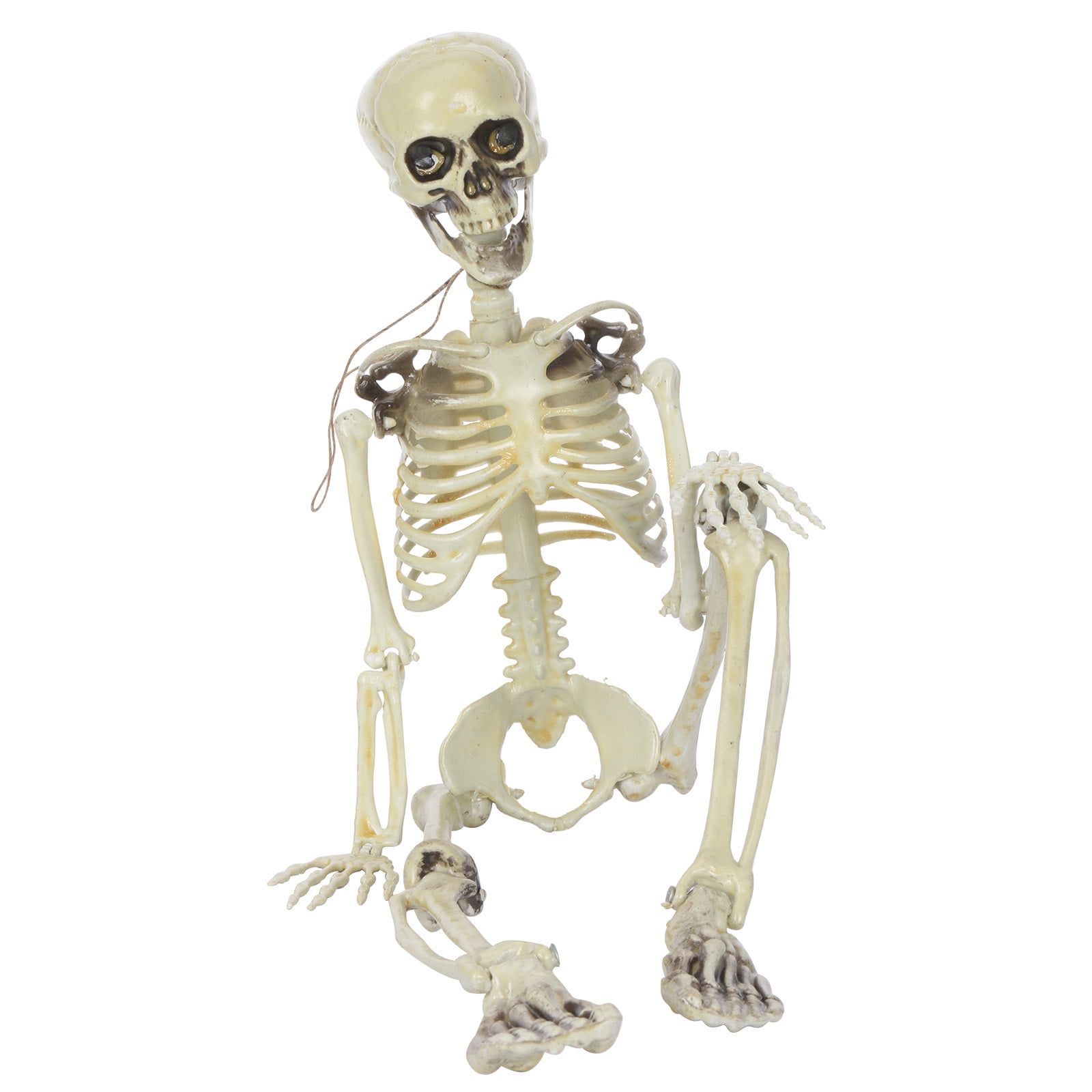 PILE Halloween Home Decor Halloween Skeleton Prop Human Full Size Skull ...