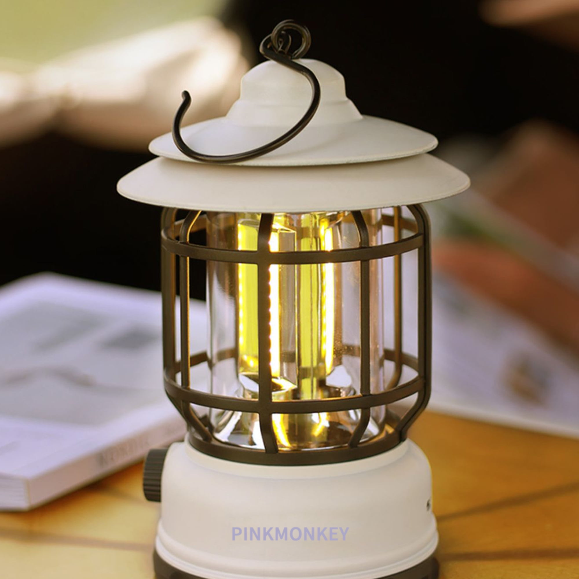 PINKMONKEY Hanging Lamp with Plug in Cord Outdoor Lamps for Patio ...