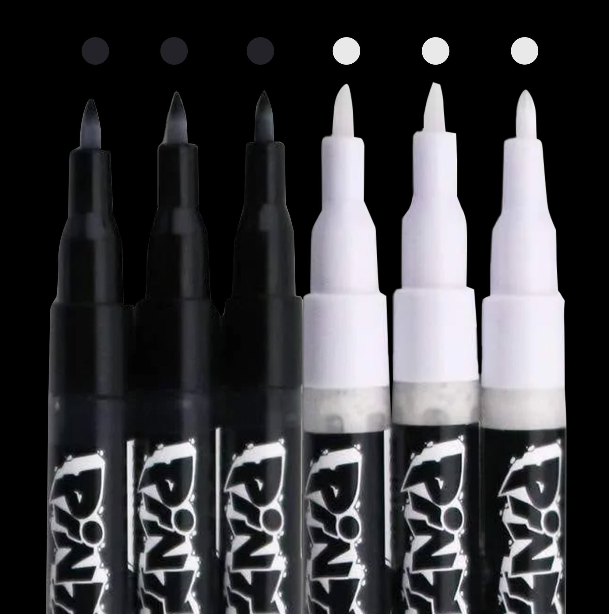 PINTAR Premium Acrylic Paint Pens - 3 Black & 3 White(6-Pack) Extra ...