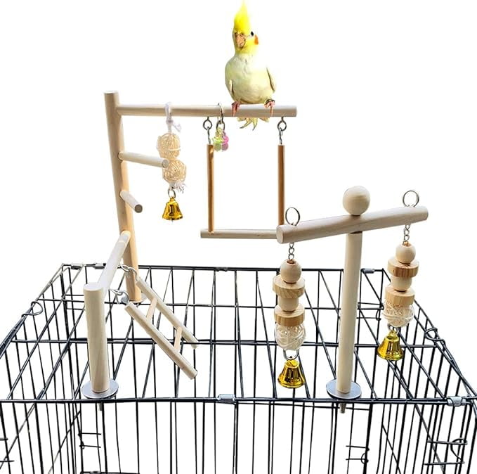 PINVNBY Bird Playground Parrot Play Gym Parakeet Cage Play Stand Wooden ...