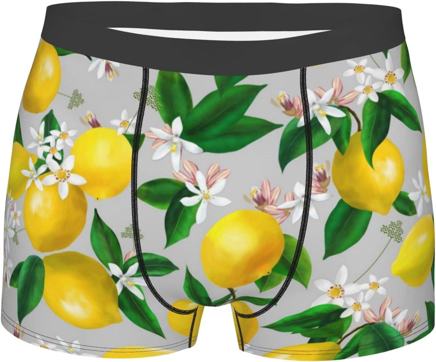 PISONIC Lemon Print Men's Underwear Boxer Briefs Breathable Comfortable ...