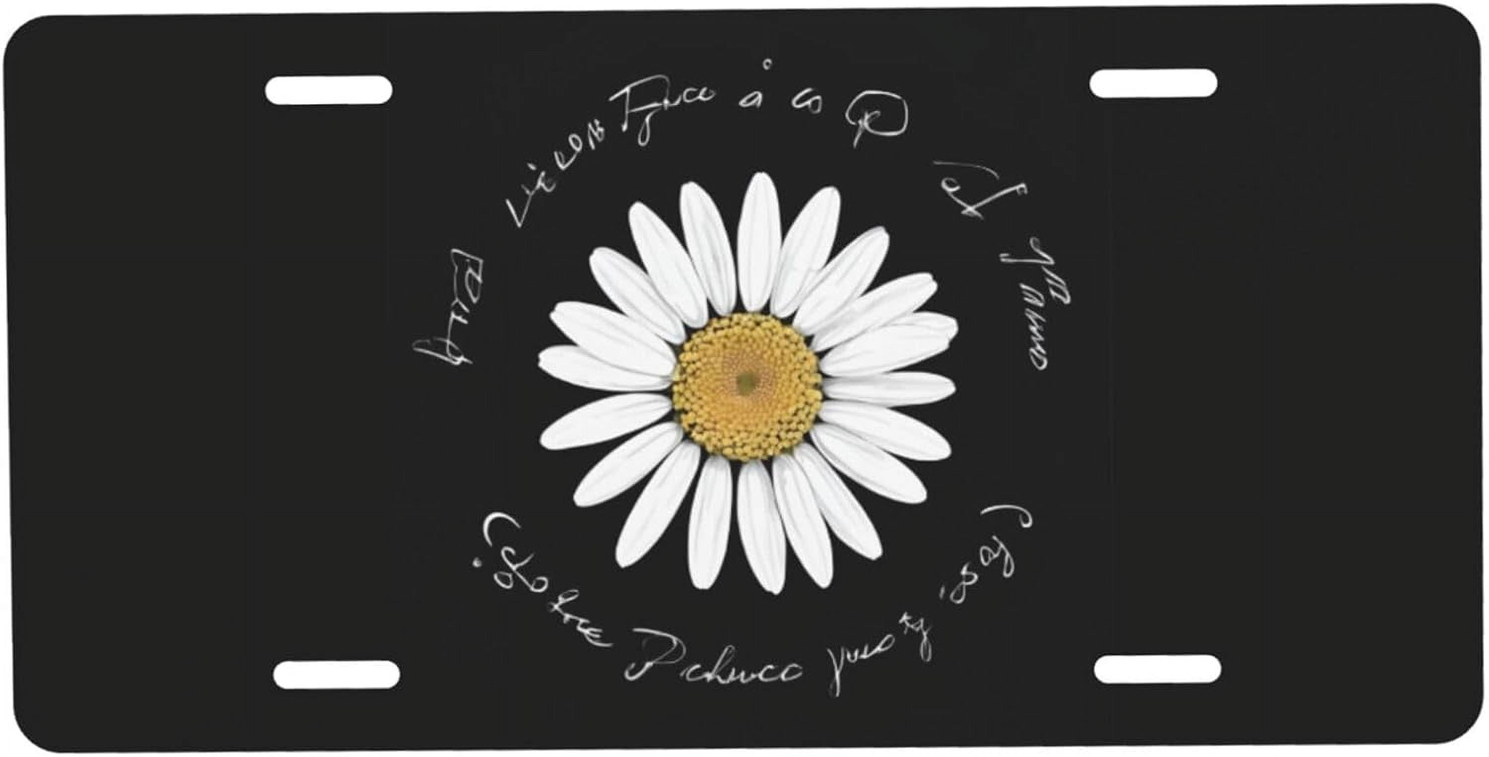 PISONIC License Plate, Daisy Artwork Decorative Car Front License ...