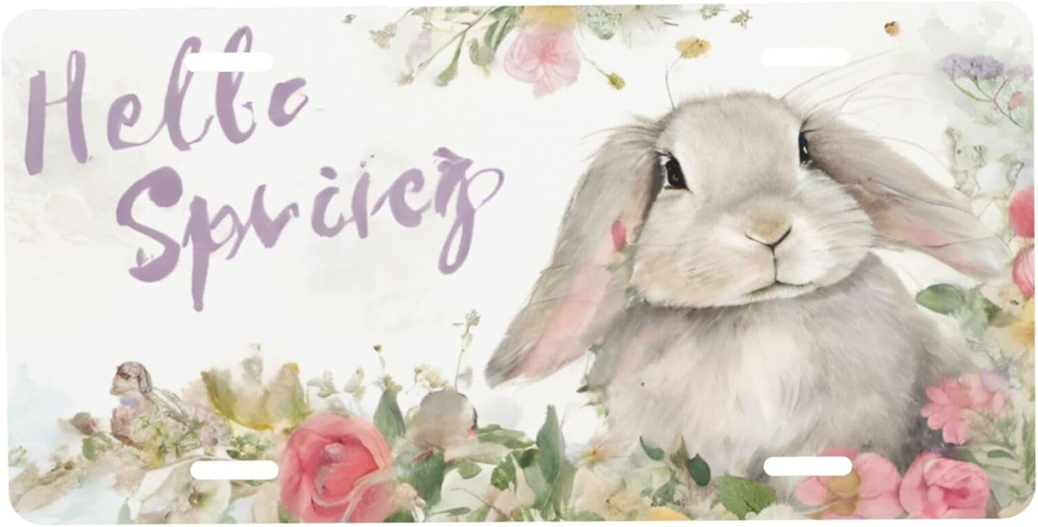 PISONIC License Plate, Easter Bunny Decorative Car Front License Plates ...