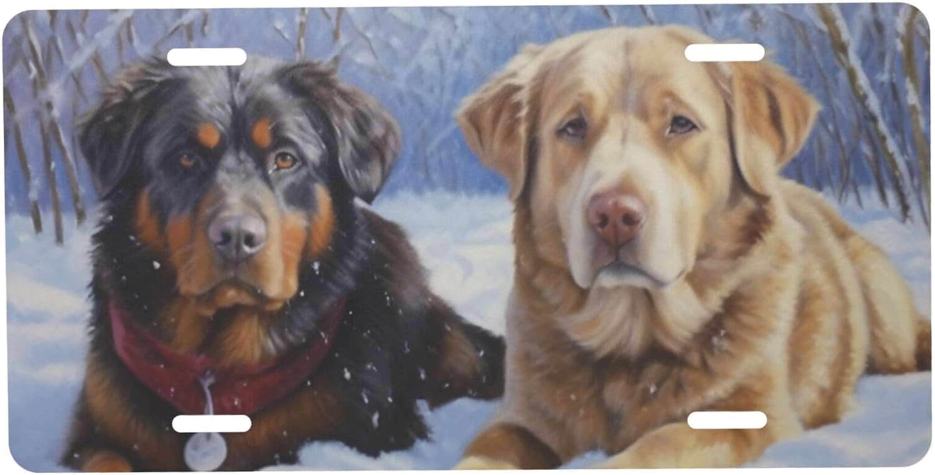 PISONIC License Plate, Labrador Retriever Dog Decorative Car Front ...