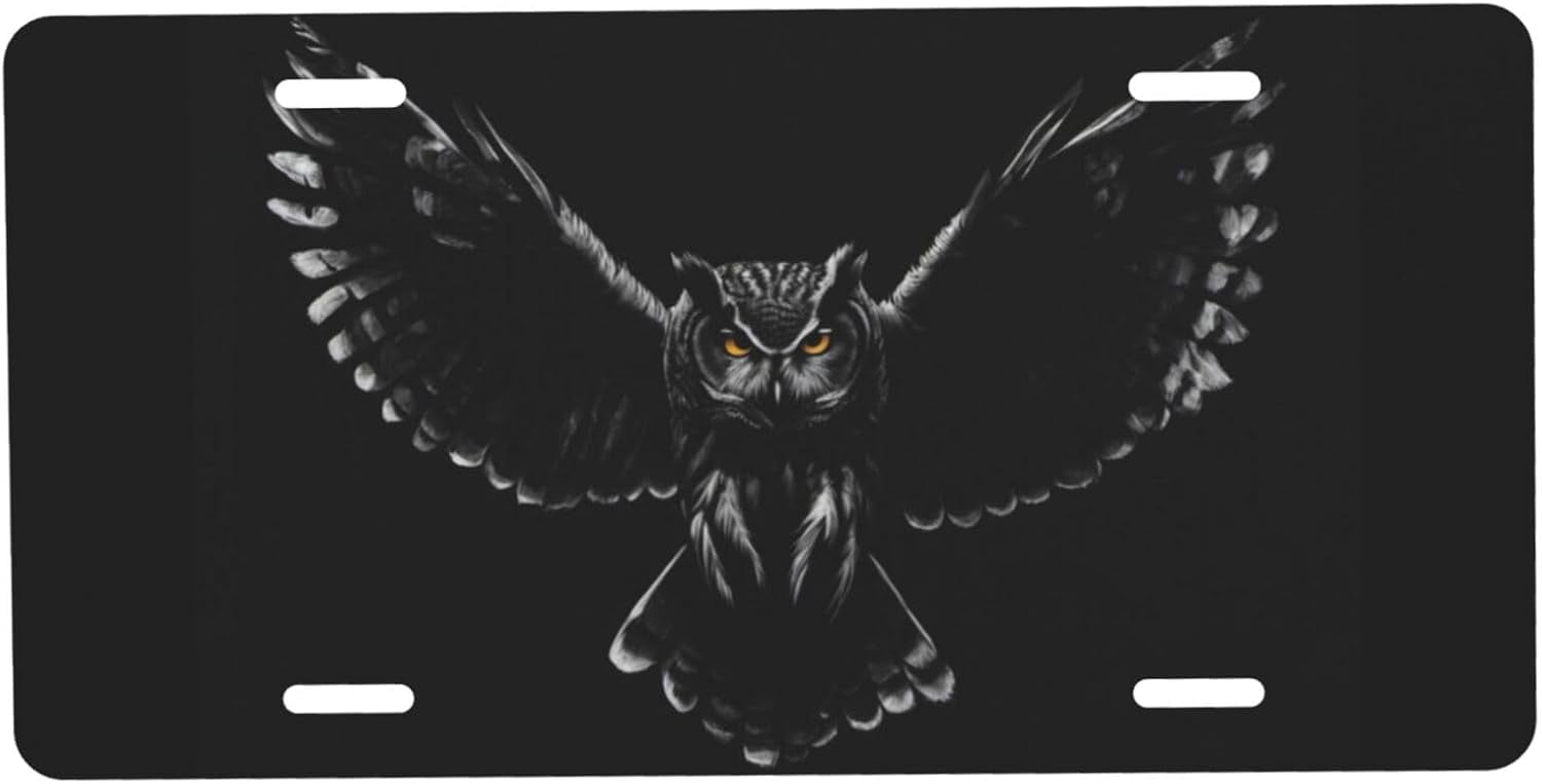 PISONIC License Plate, Owl Black Decorative Car Front License Plates ...