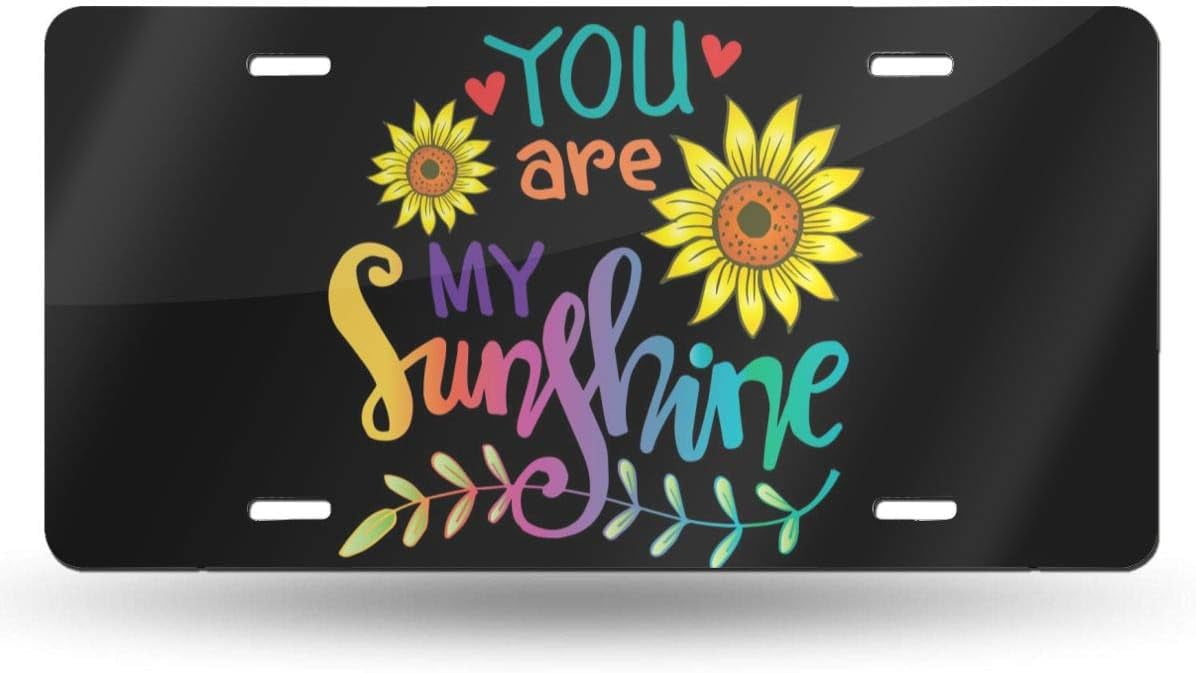 PISONIC License Plate, You are My Sunshine Decorative Car Front License ...