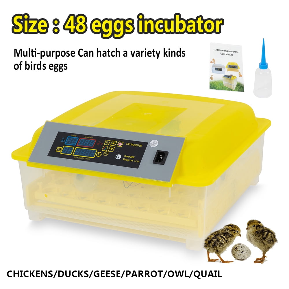 Brinsea Mini II Advance automatic 7 egg incubator - Walmart.com