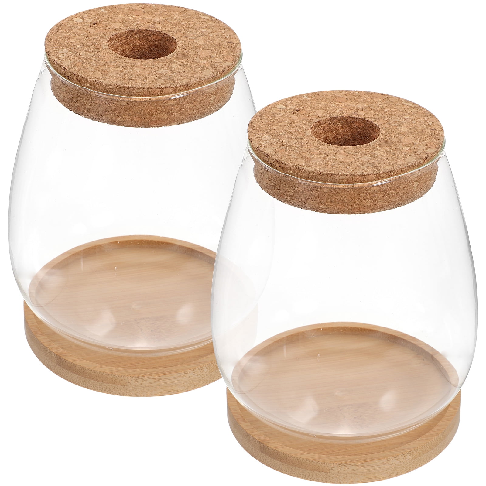 PIXNOR 1 set of Glass Jar DIY Flower Plant Terrarium Micro-landscape ...