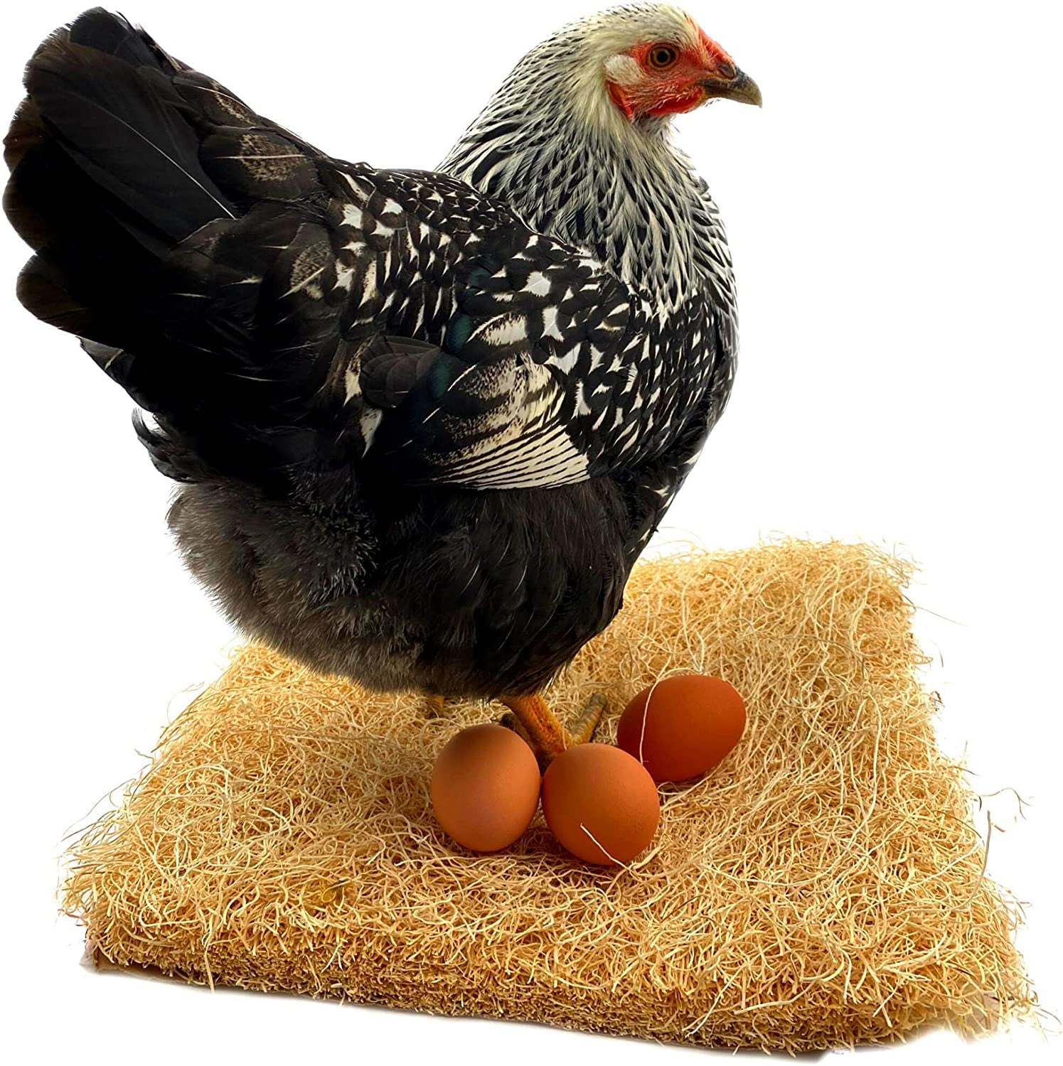 PIYING 12 Pack Chicken Nesting Box Pad Made in USA! 13 x 13 Excelsior ...