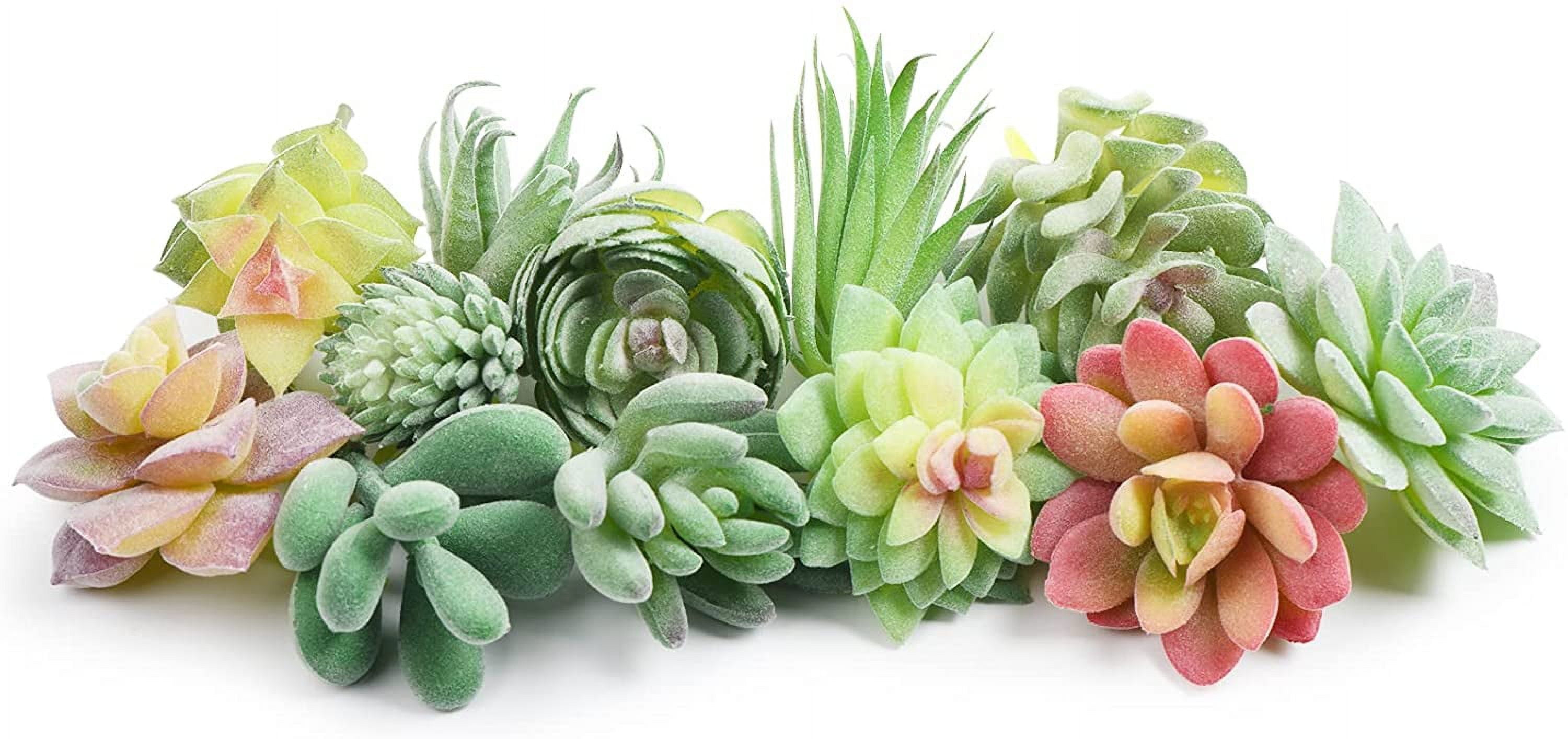PIYING 12 Pcs Artificial Succulents Mini Fake Plants Unpotted Faux ...