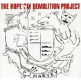 PJ Harvey - The Hope Six Demolition Project - Vinyl - Walmart.com