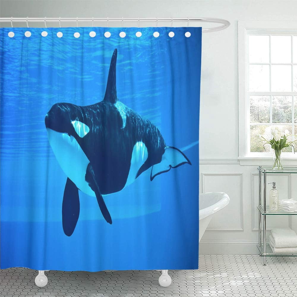 PKNMT Blue Orca Friendly Killer Whale Blue Underwater Water Aquarium ...