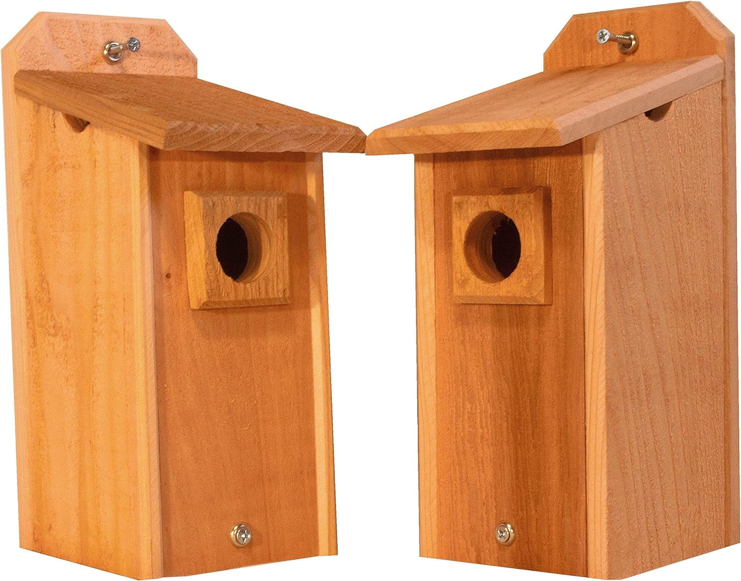 PKQP 2 Cedar Bluebird Houses, Bird House - Walmart.com