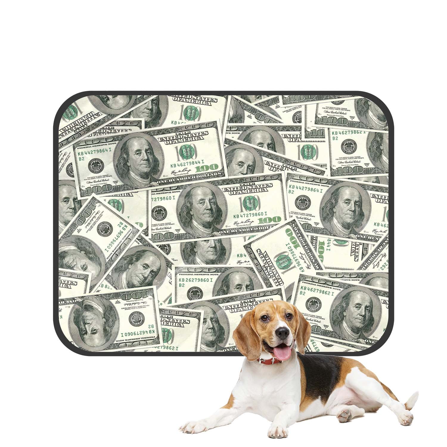 PKQWTM 100 Dollar bills Pet Dog Cat Bed Pee Pads Mat Cushion Potty Dogs ...