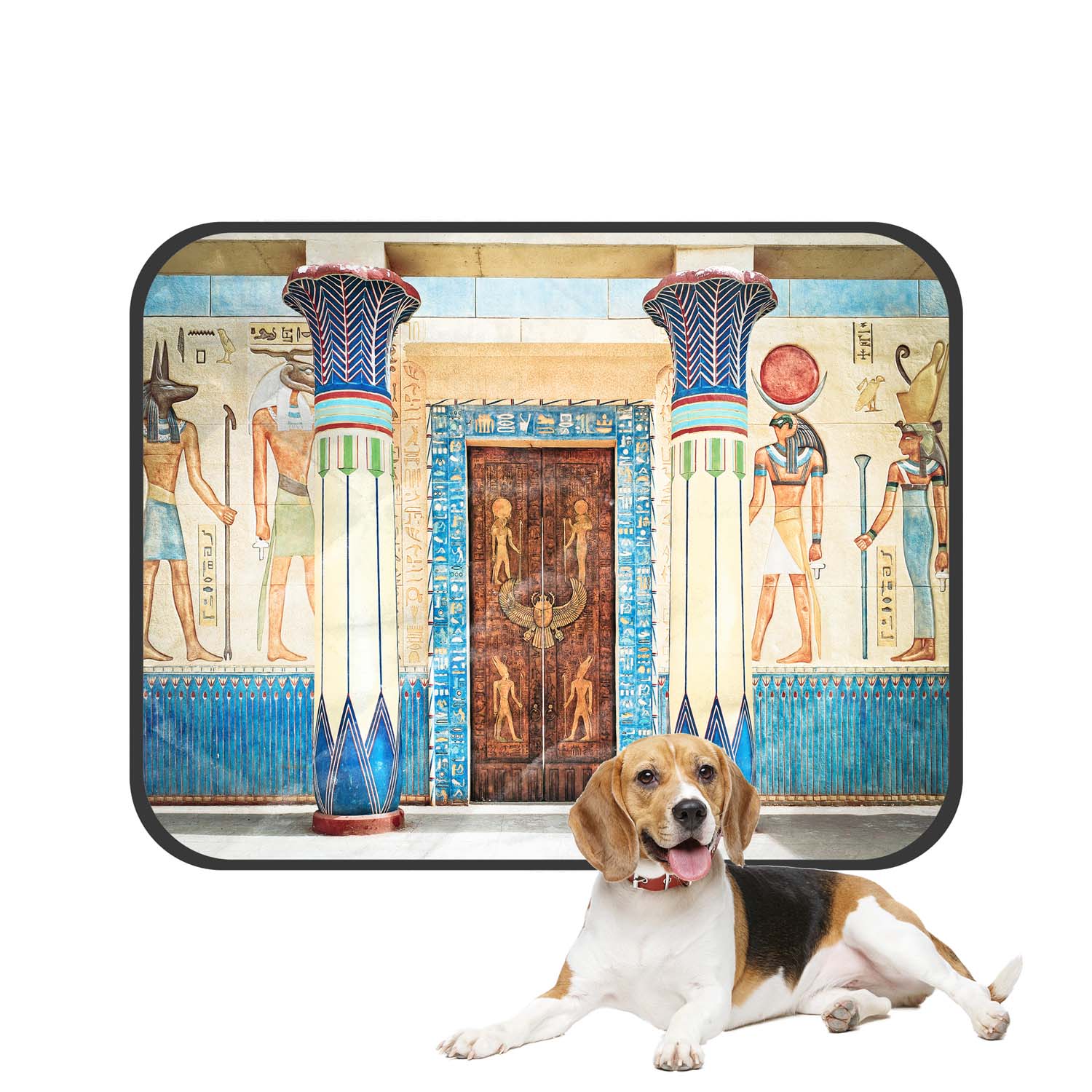PKQWTM Ancient Egyptian writing stone Egypt Ancient Egypt Pet Dog Cat ...