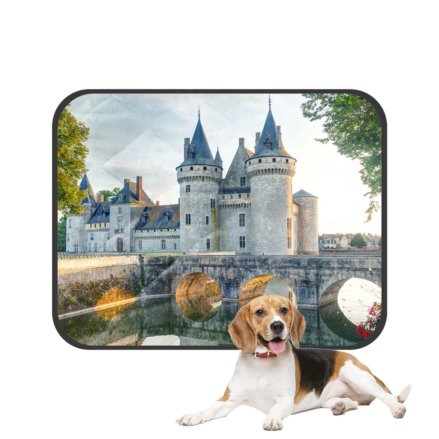 PKQWTM Chateau de Sully sur Loire France medieval castle Pet Dog Cat ...