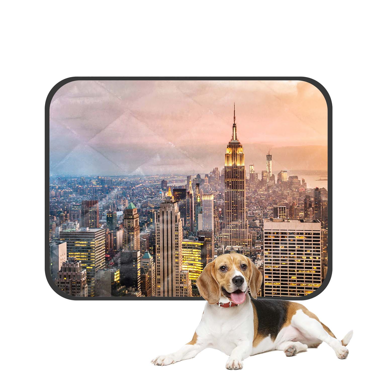 PKQWTM Cityscape New York Skyline at Teilight Pet Dog Cat Bed Pee Pads ...
