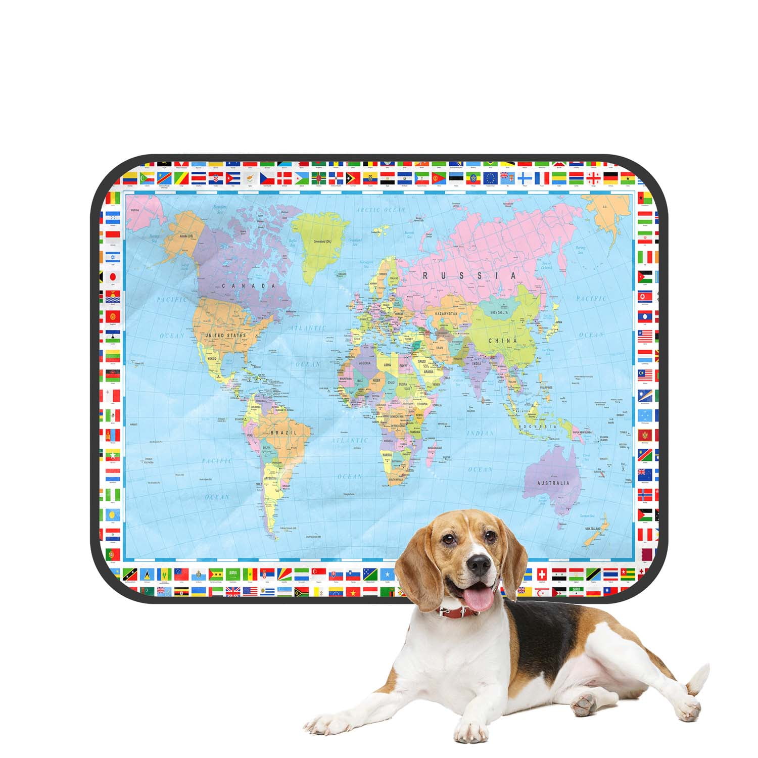 PKQWTM Colored World Map Flags Pet Dog Cat Bed Pee Pads Mat Cushion ...