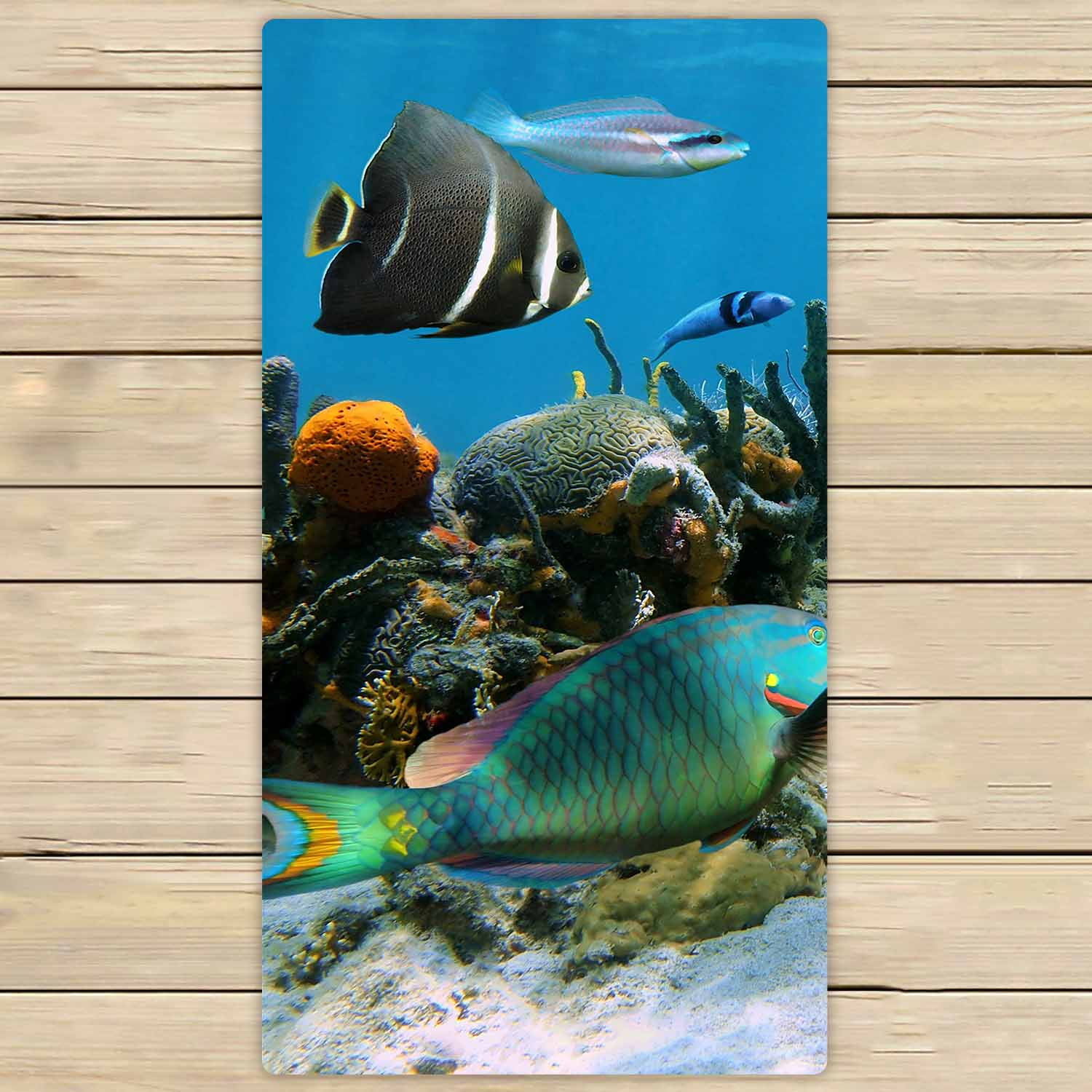 PKQWTM Coral reef starfish colorful tropical fish Caribbean sea ...