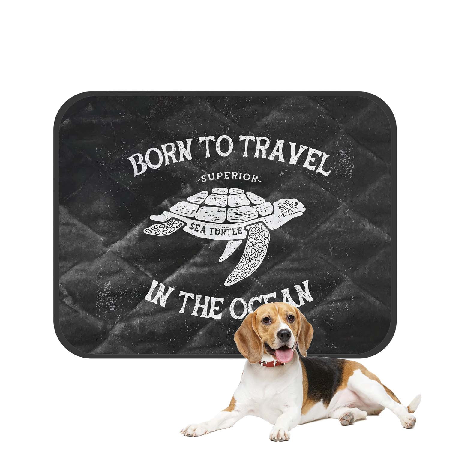 PKQWTM Funny Sea Turtle Art Funny Sea Turtle Art Born to Travel in the ...