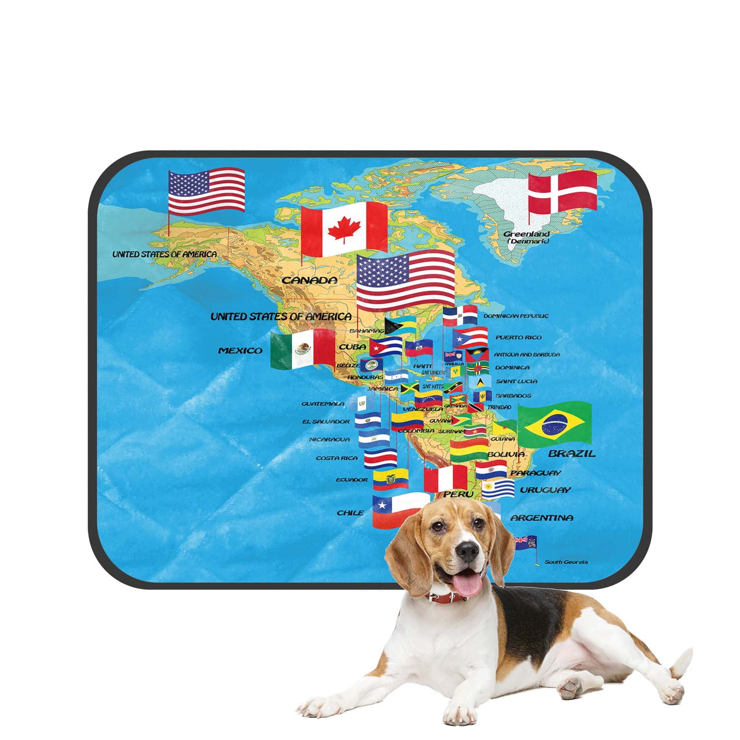 PKQWTM Home Decor North and South America Map with flags and Countries ...