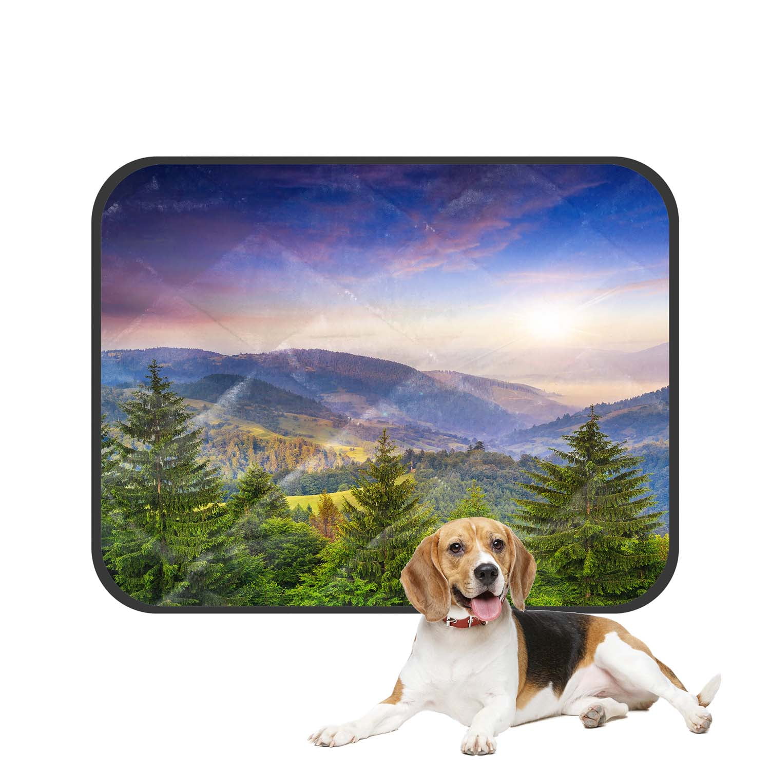 PKQWTM Mountain Landscape Pine Trees Valley Forest Sunset Pet Dog Cat ...