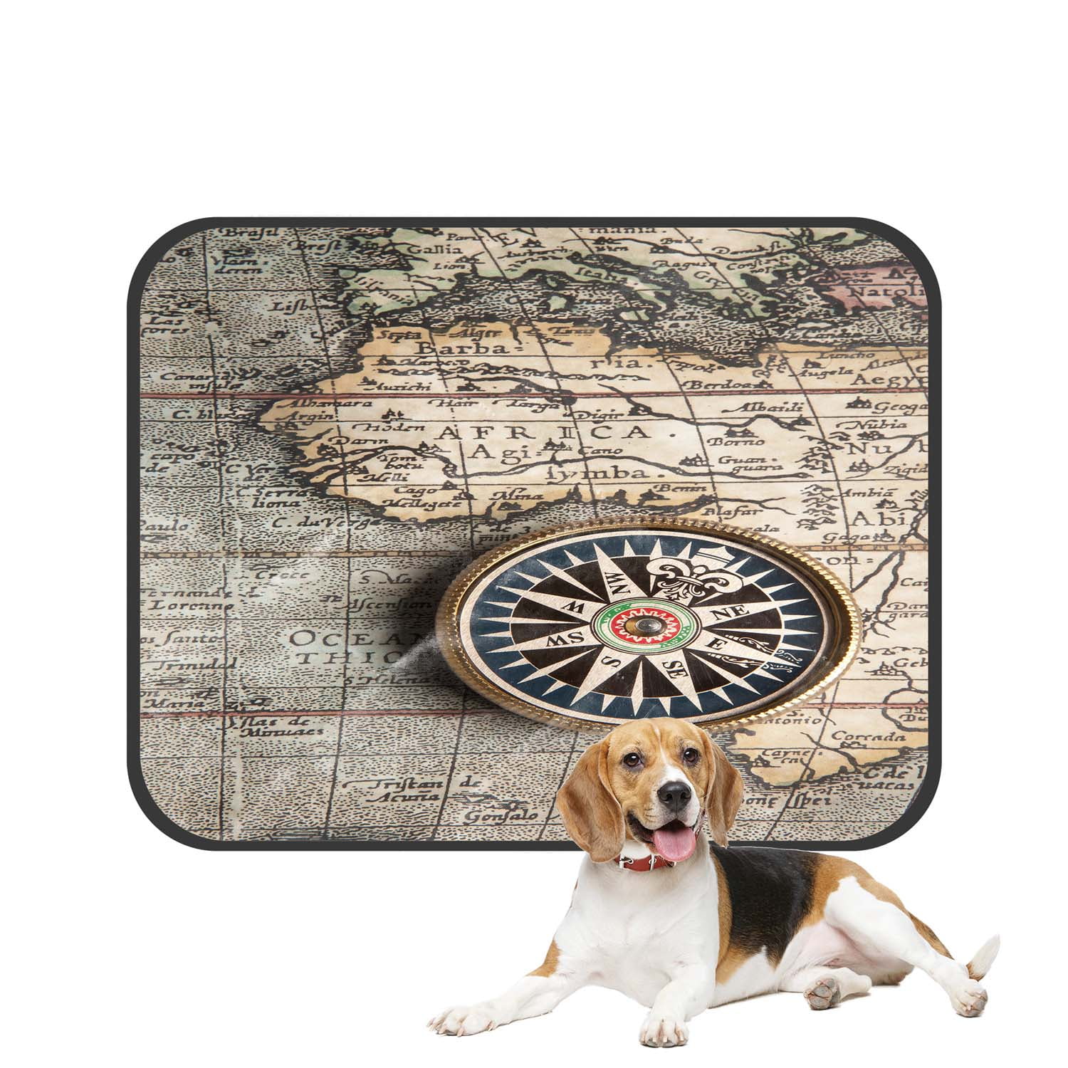 PKQWTM Old Compass On Vintage Retro Map Pet Dog Cat Bed Pee Pads Mat ...