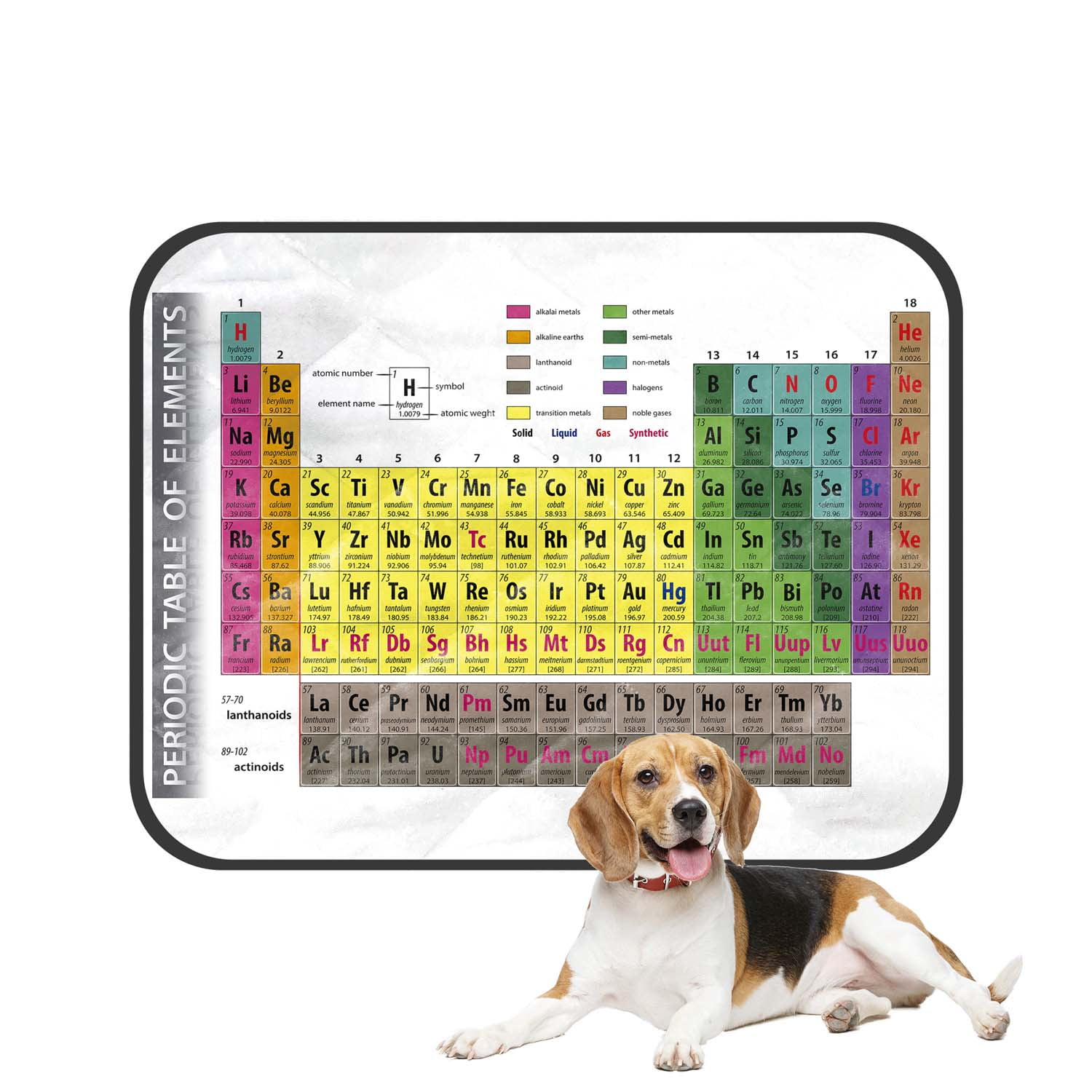 PKQWTM Periodic Table Elements Pet Dog Cat Bed Pee Pads Mat Cushion ...