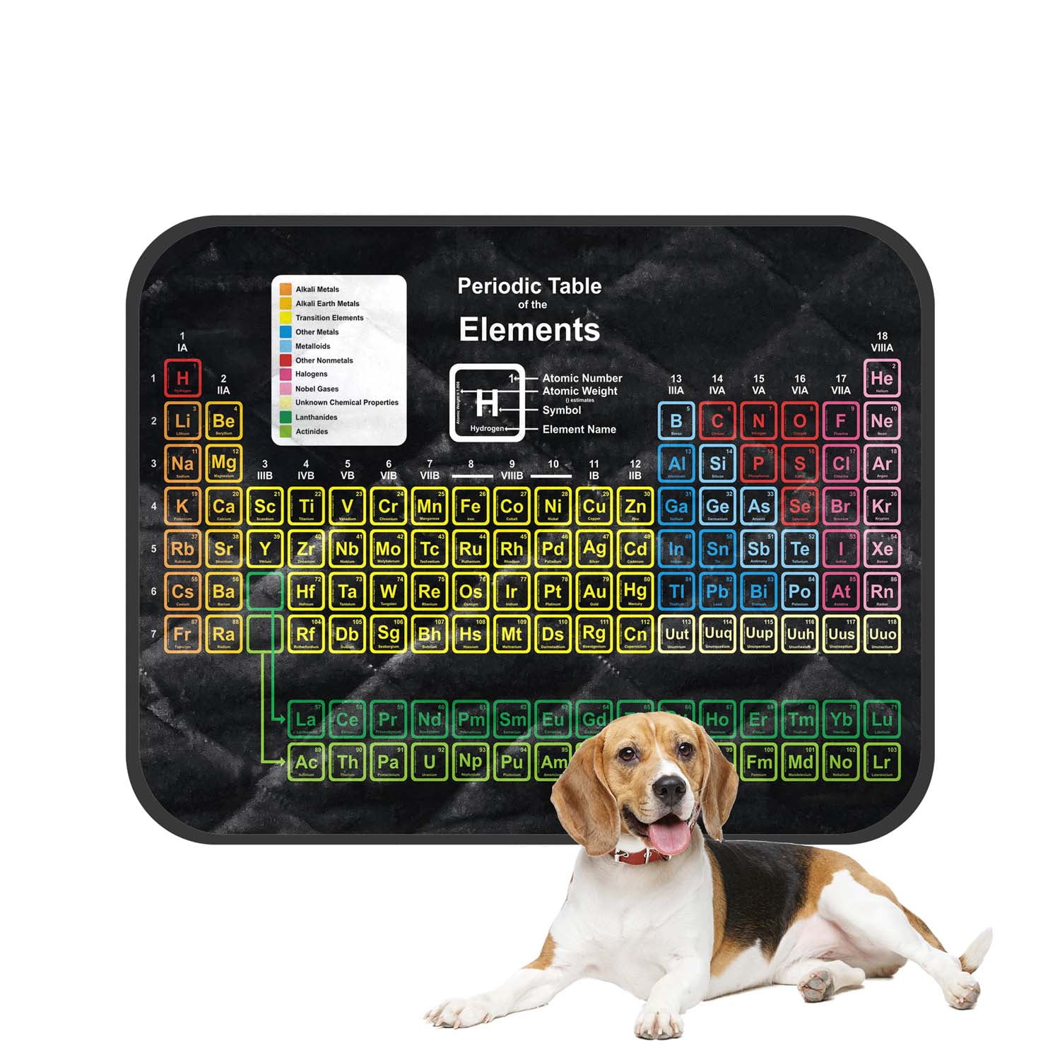 PKQWTM Periodic Table of Elements Back to School Pet Dog Cat Bed Pee ...