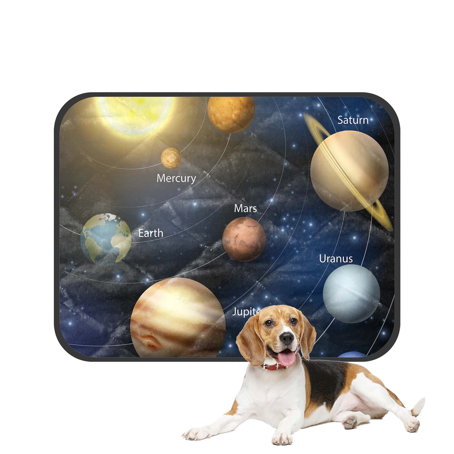 PKQWTM Planetary Orbit Educational Solar System Planets Pet Dog Cat Bed ...