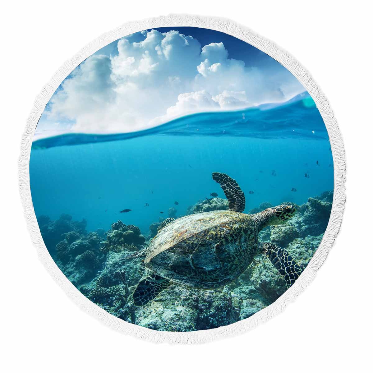 PKQWTM Sea Turtle Loggerhead Floating Over Corals Tropical Paradise ...