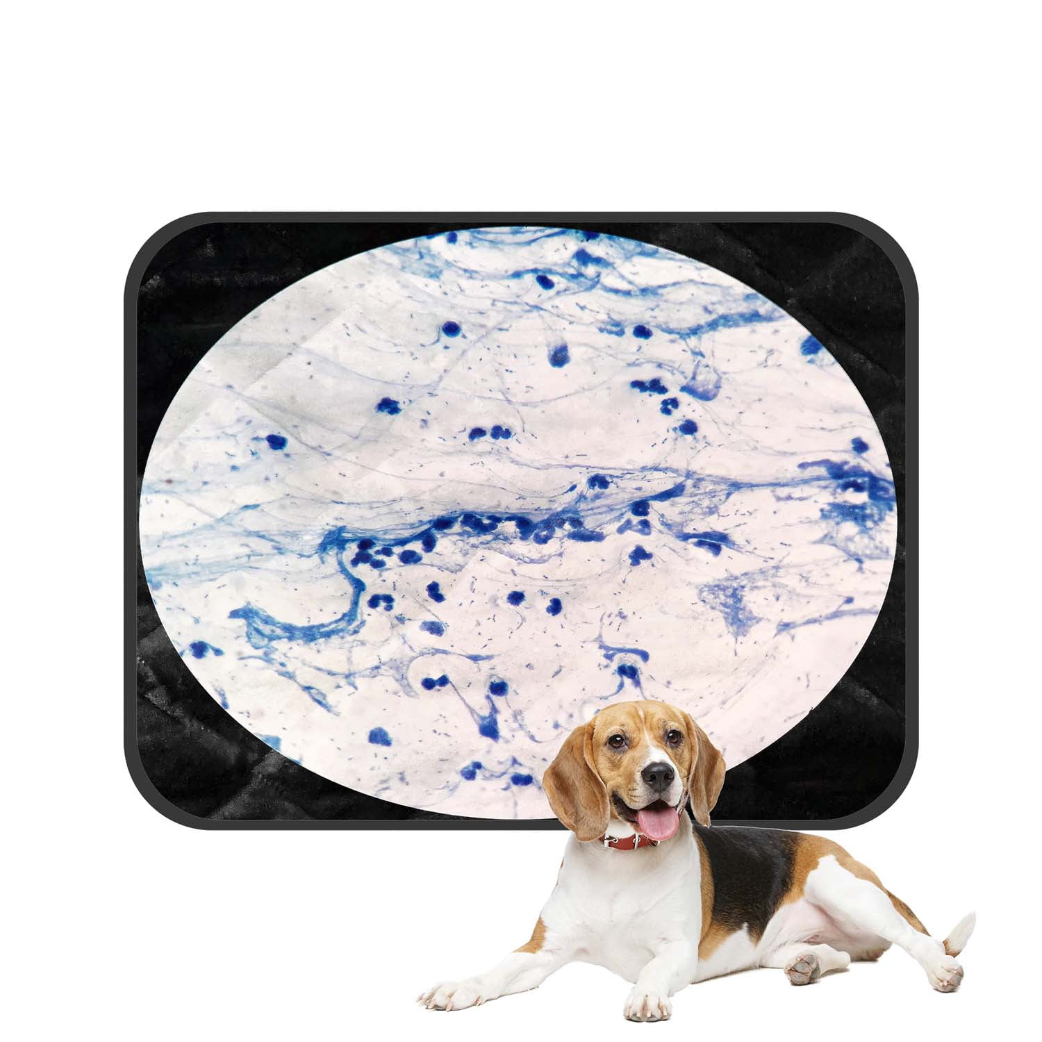PKQWTM Specimen Microscope White Blood Cells Epithelial Pet Dog Cat Bed ...
