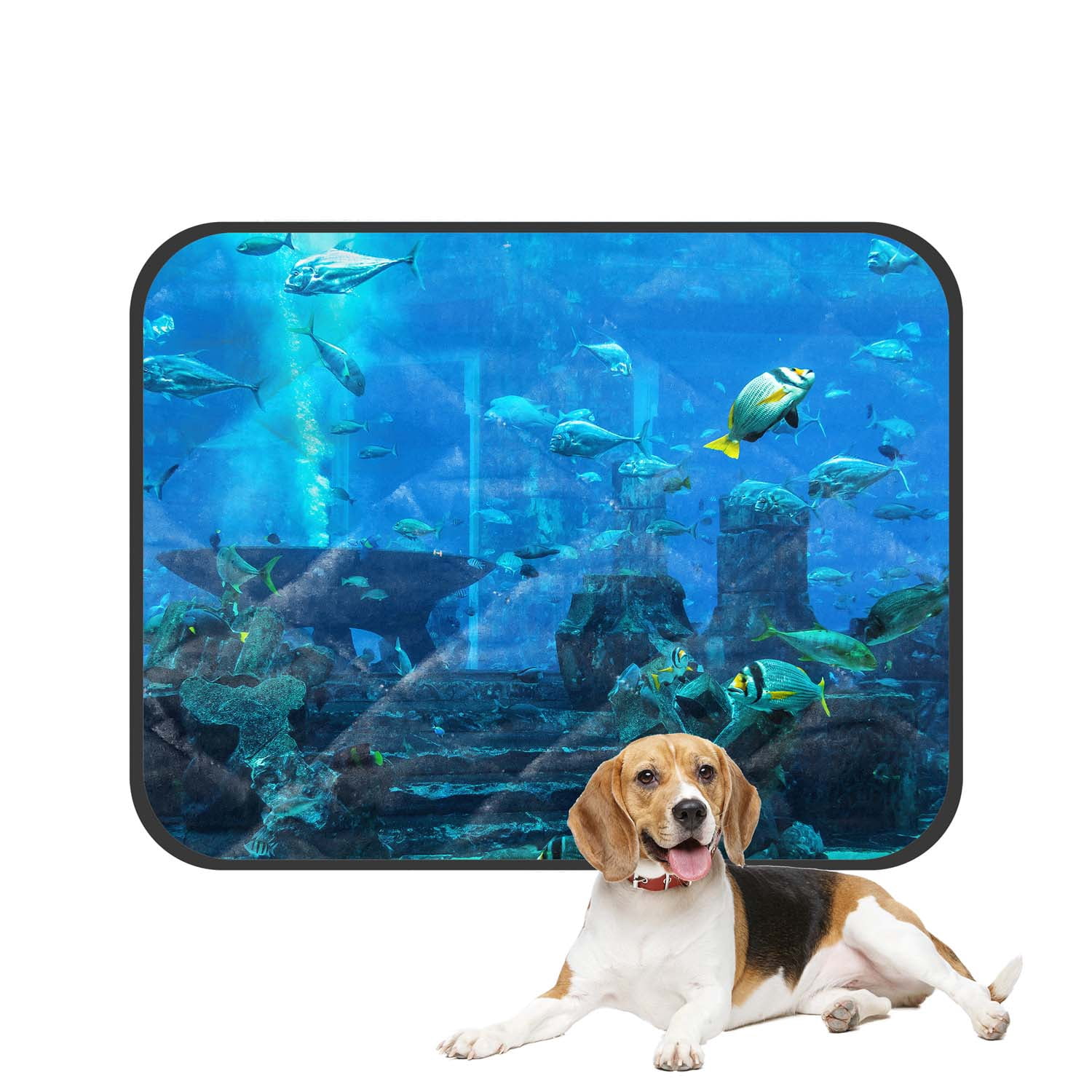PKQWTM Tropical Fish On A Coral Reef In Dubai Aquarium Pet Dog Cat Bed ...