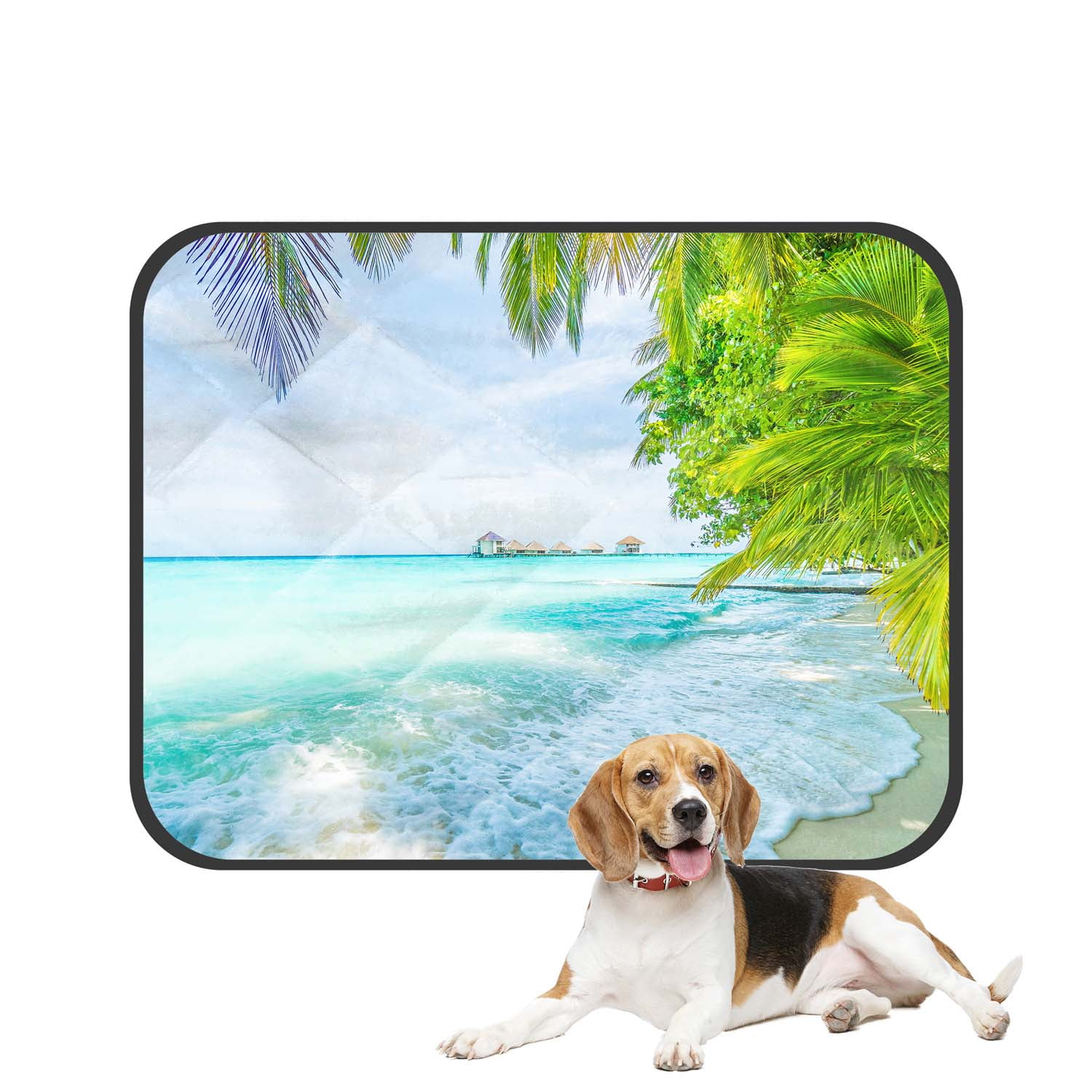 PKQWTM Tropical Maldives Island Beach Sea Sky Pet Dog Cat Bed Pee Pads ...