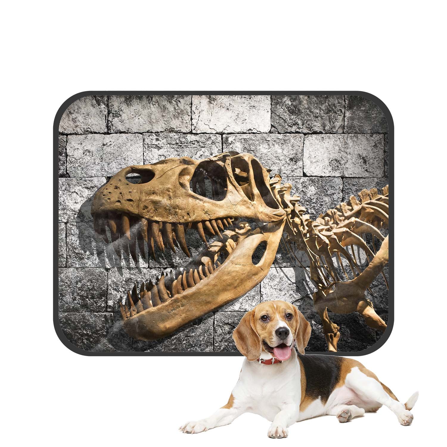 PKQWTM Tyrannosaurus Rex skeleton in stone wall Pet Dog Cat Bed Pee ...
