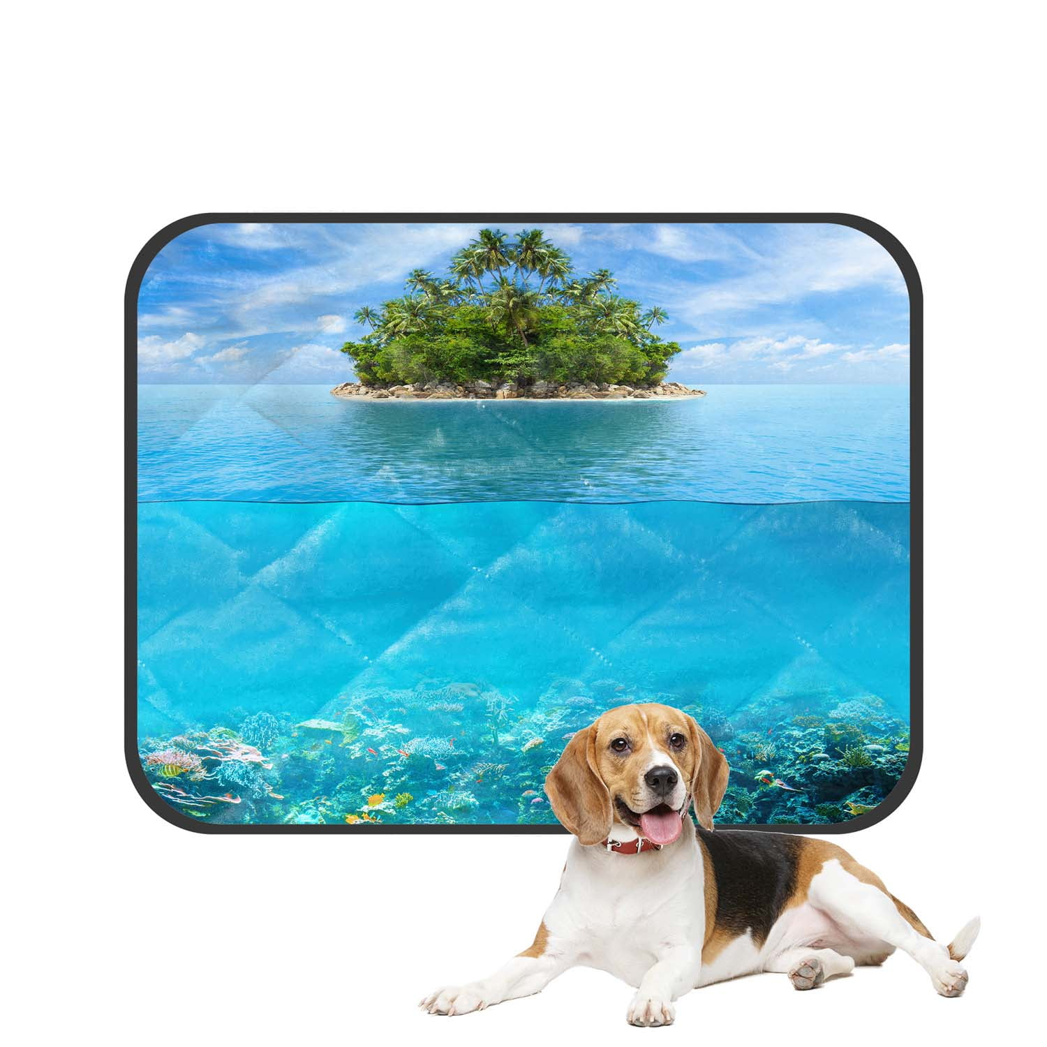 PKQWTM Underwater coral reef seabed tropical island Pet Dog Cat Bed Pee ...