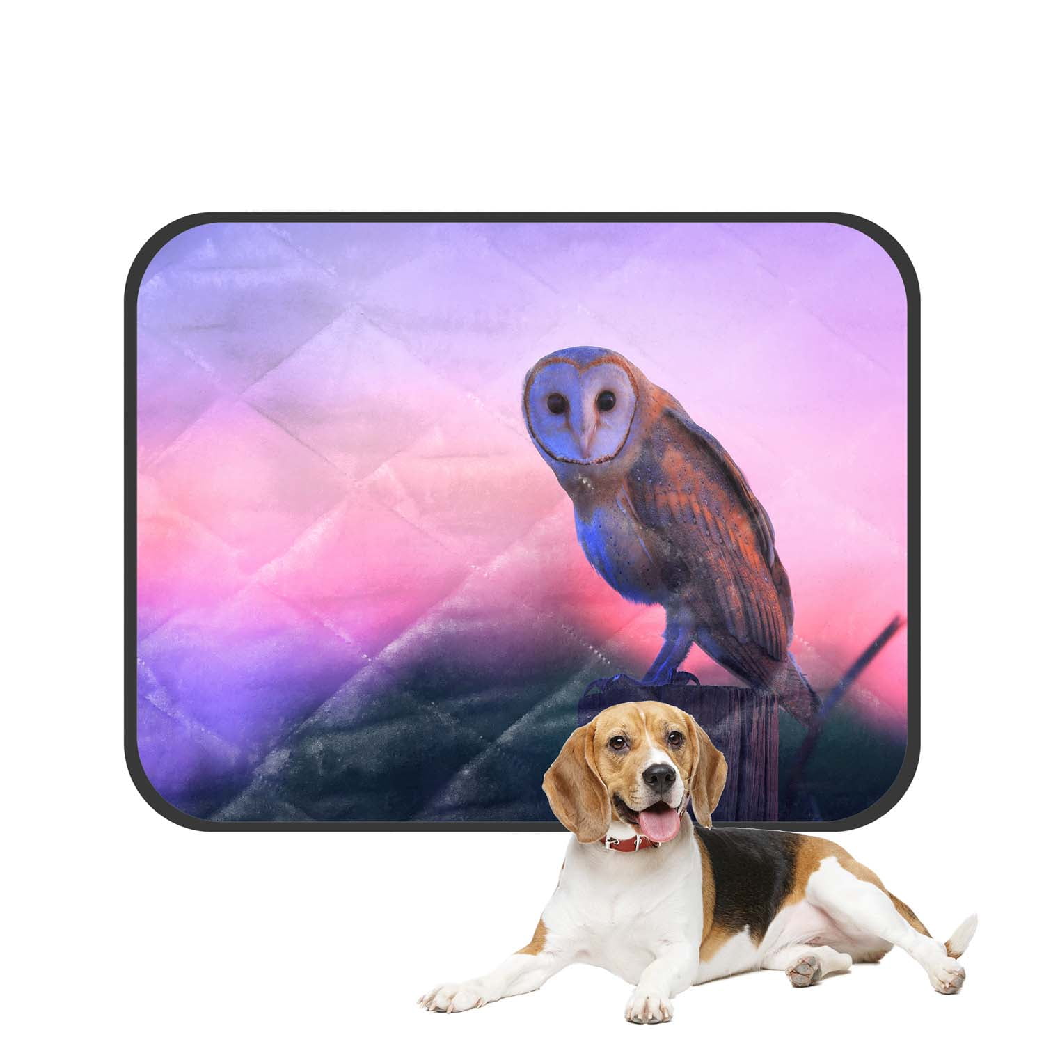 PKQWTM a Beautiful Barn Owl Perched on a Tree Stump Purple Sky Pet Dog ...