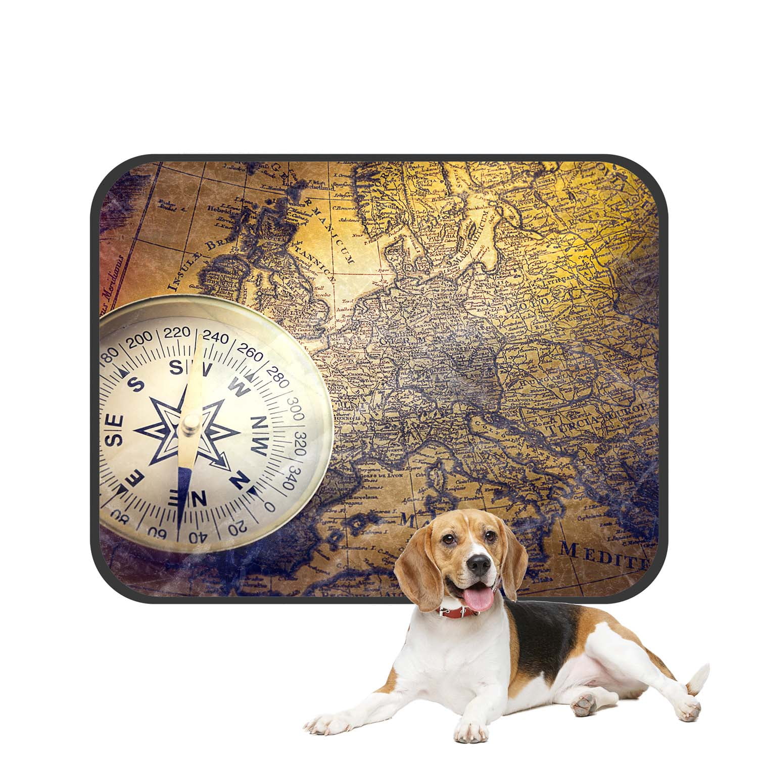 PKQWTM compass gold color old map with coins Pet Dog Cat Bed Pee Pads ...