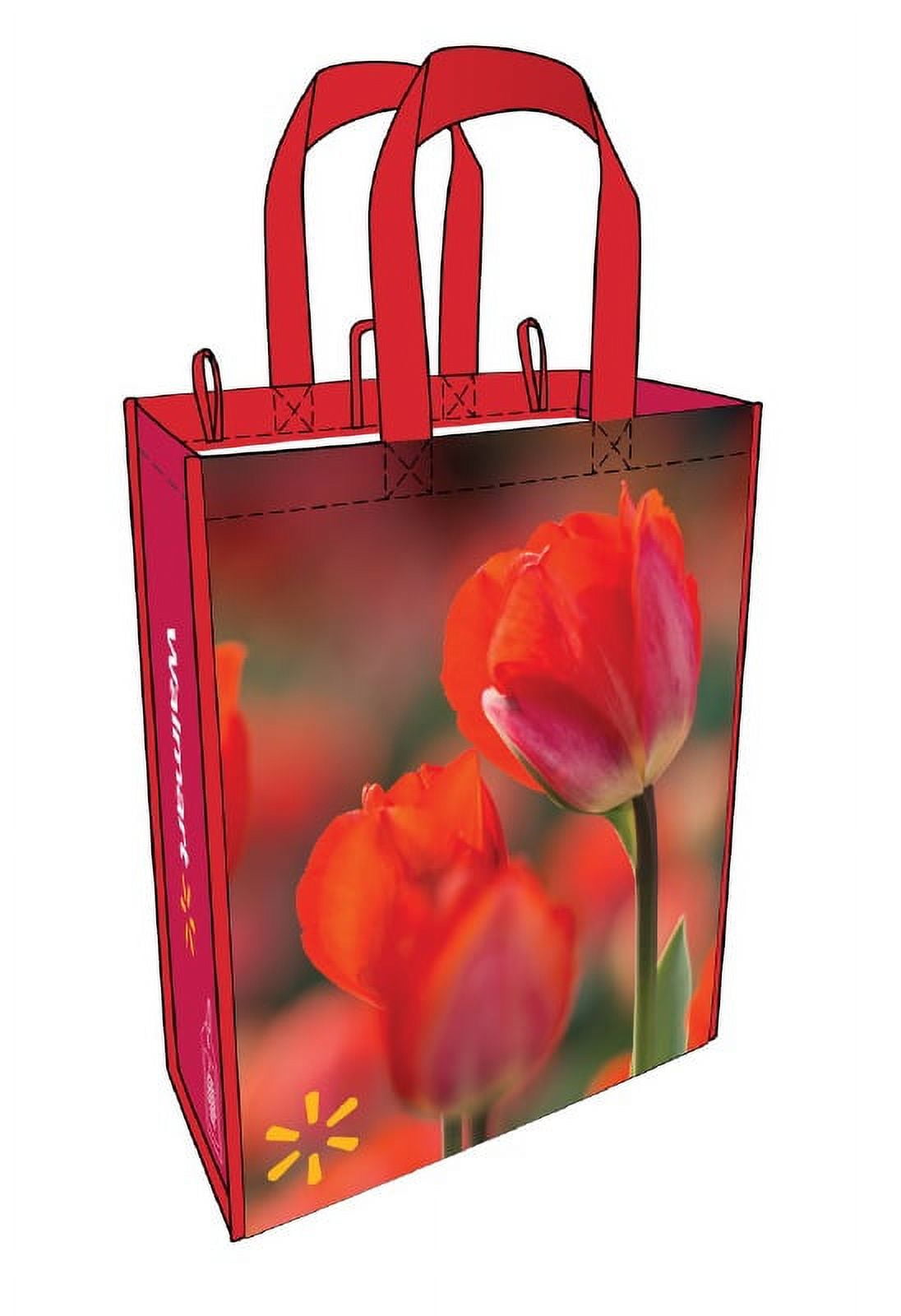 PLANET E Eco-Friendly Reusable Shopping Bag, Red - Walmart.com