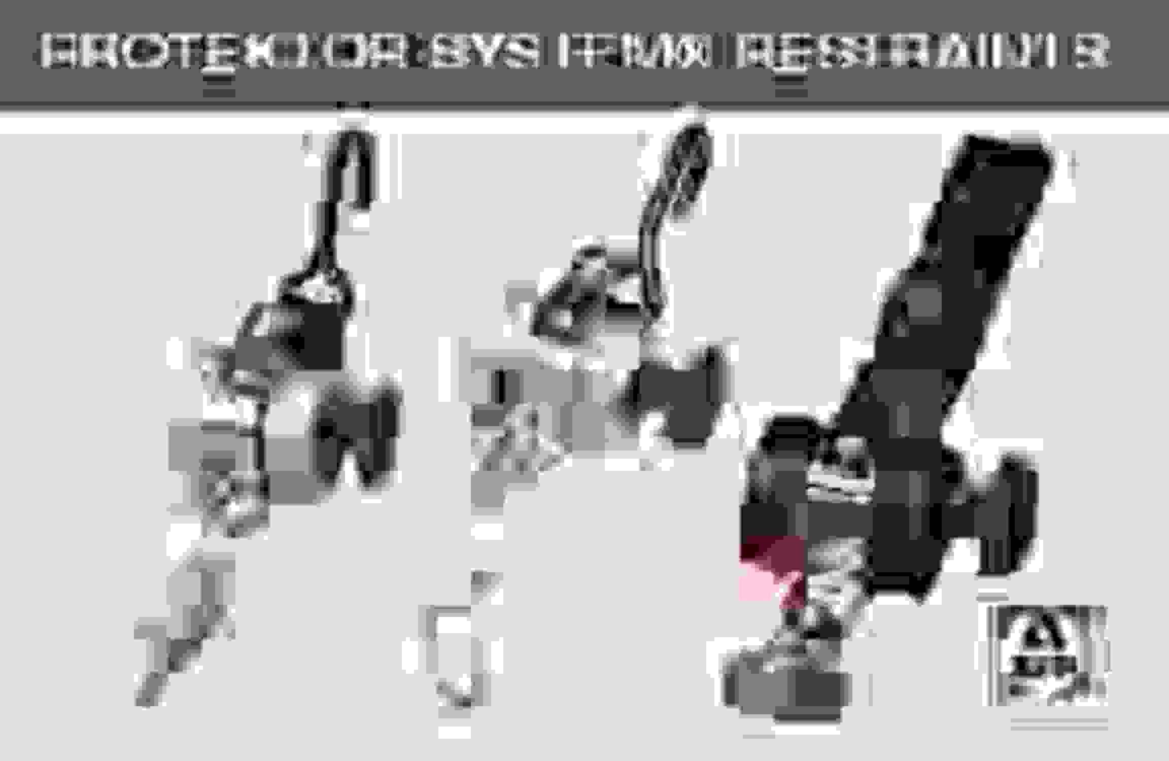 PLATINUMSERIES - PROTEKTOR®-System Wheelchair and Restraints | 4 PACK ...
