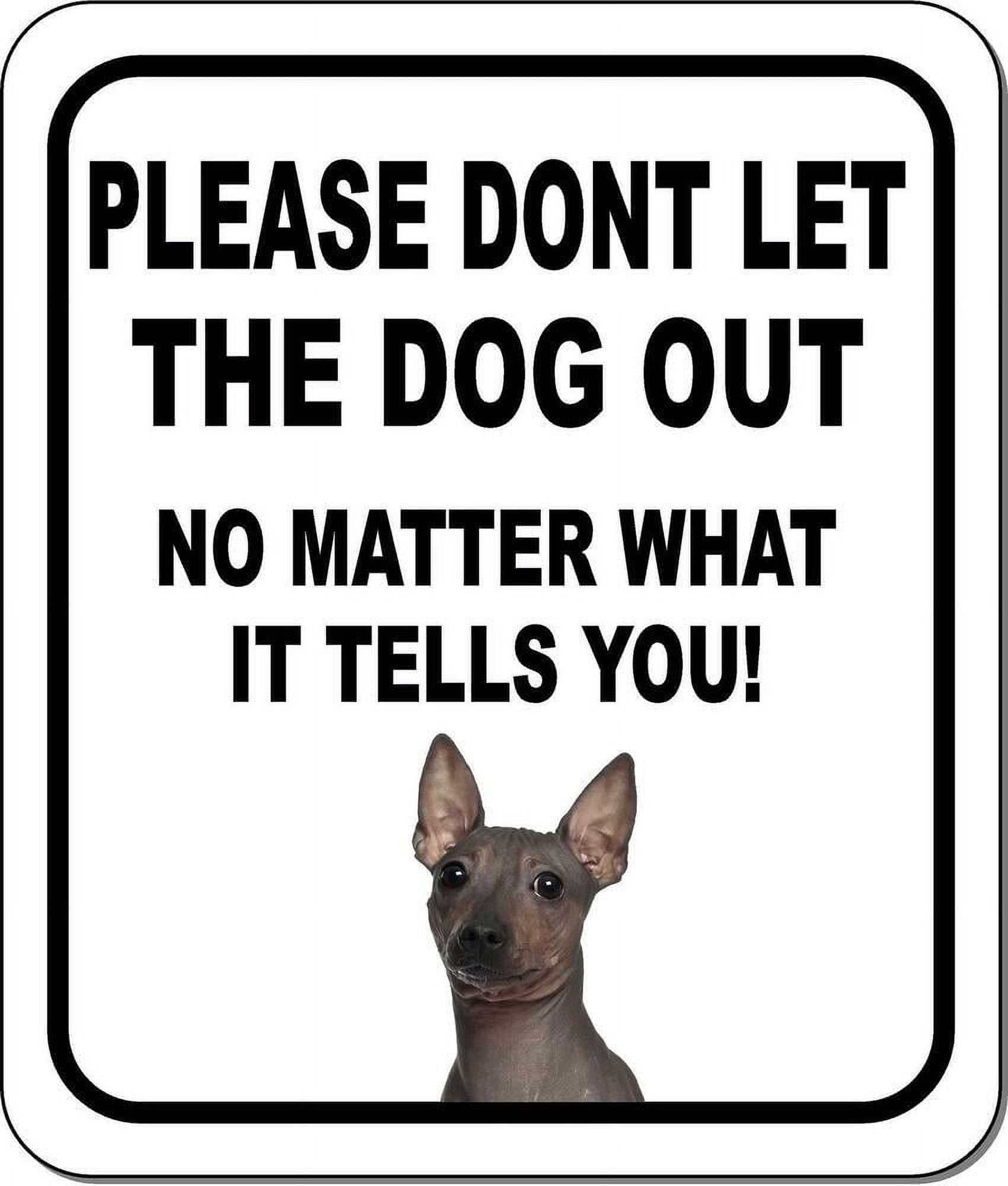 PLEASE DONT LET THE DOG OUT NMW American Hairless Terrier Metal ...