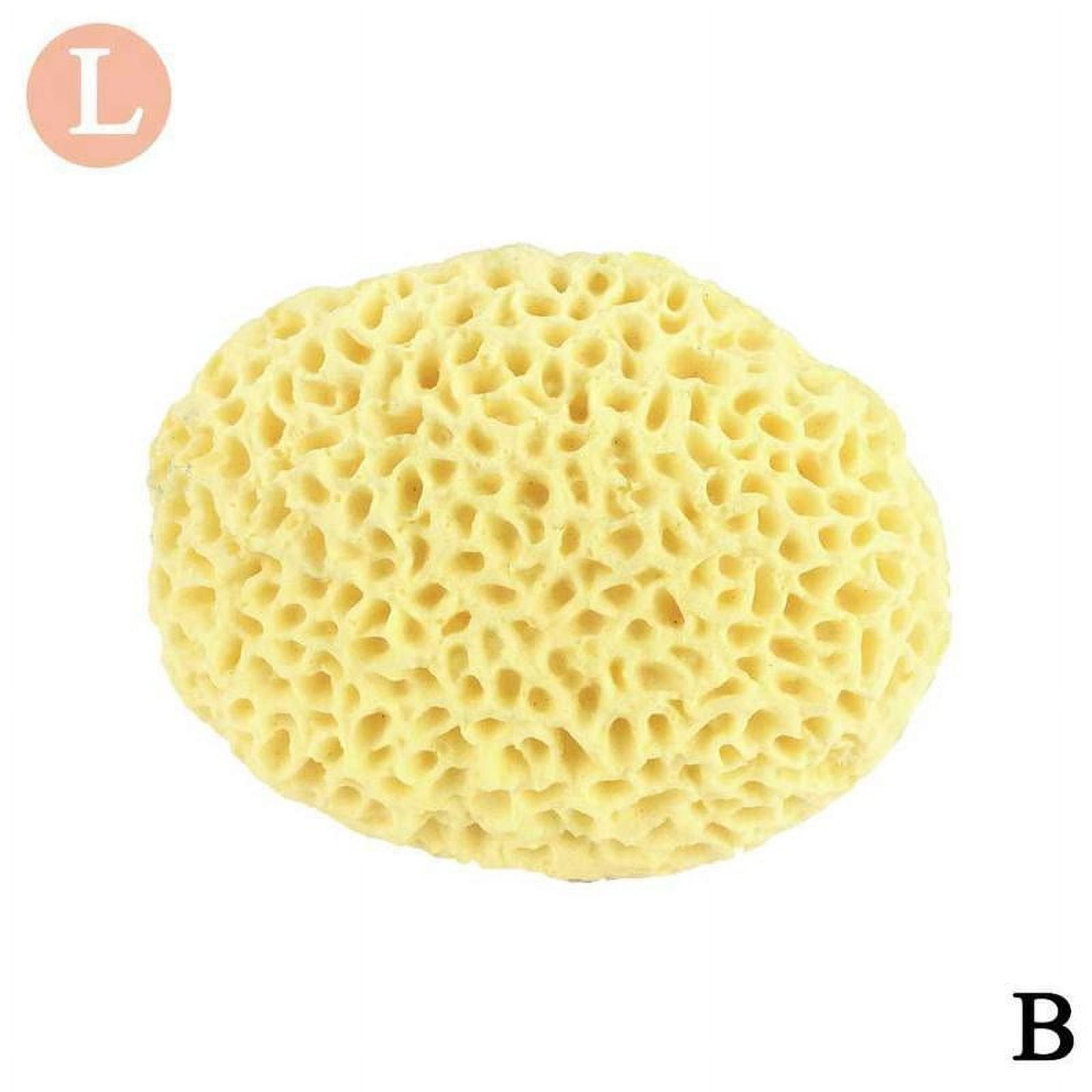 PLGEBR Natural Sea Wool Sponge Replacement Dead Skin Remover Massager ...