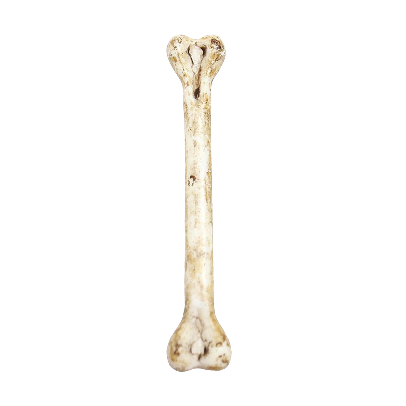 PLLFRLRT Halloween Decorations Artificial Bone Replica for Educational ...