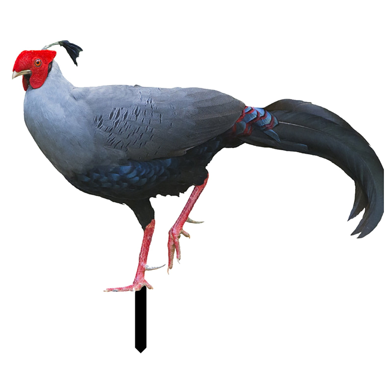 PLLFRLRT Yard Decorations Outdoor Farmhouse Decor Pheasant Signs for ...
