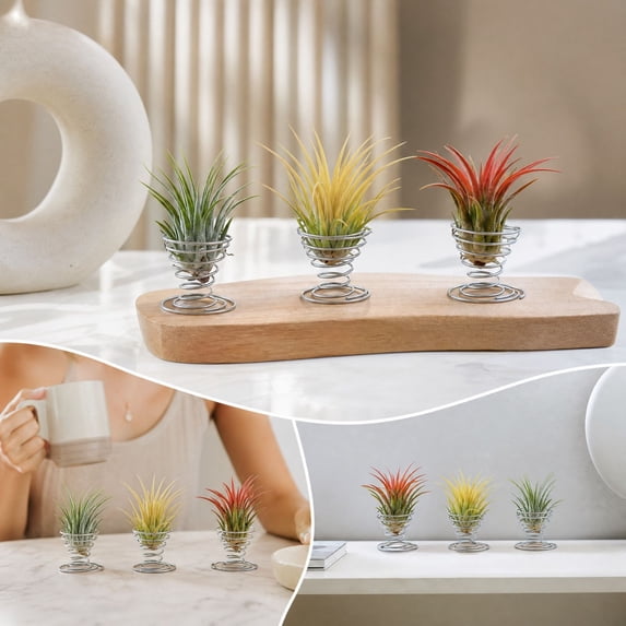PLPPYFS 3‑Pack Minimalist Metal Air Plant Holders, Open‑Frame ...