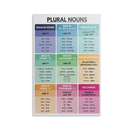 PLURAL NOUNS Grammar Chart for Homeschool Decorative Painting Canvas ...