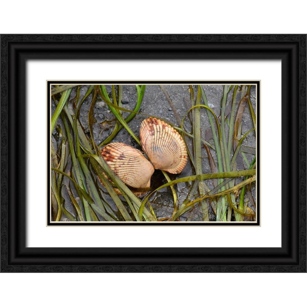 PLank, Savanah 14x11 Black Ornate Wood Framed with Double Matting ...