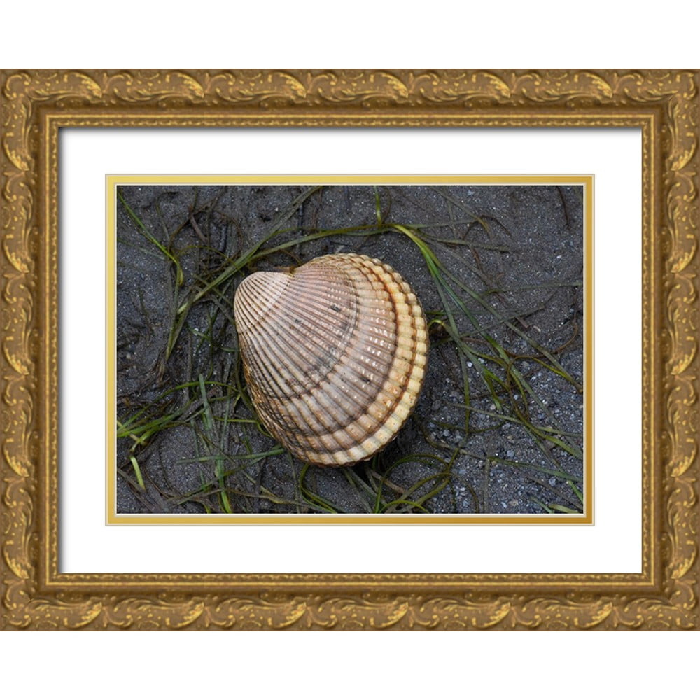 PLank, Savanah 14x11 Gold Ornate Wood Framed with Double Matting Museum ...