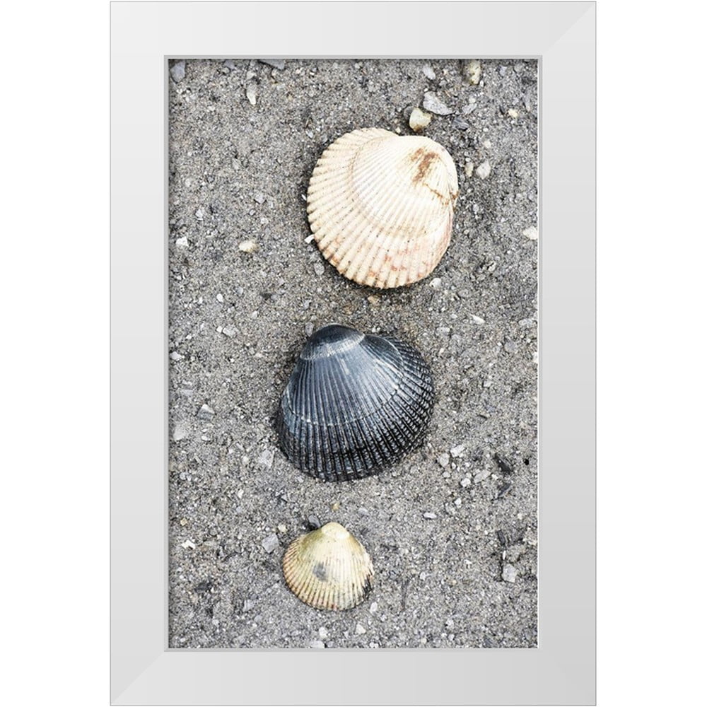 PLank, Savanah 22x32 White Modern Wood Framed Museum Art Print Titled ...