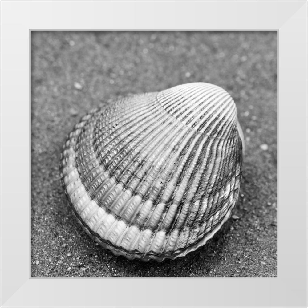 PLank, Savanah 26x26 White Modern Wood Framed Museum Art Print Titled ...